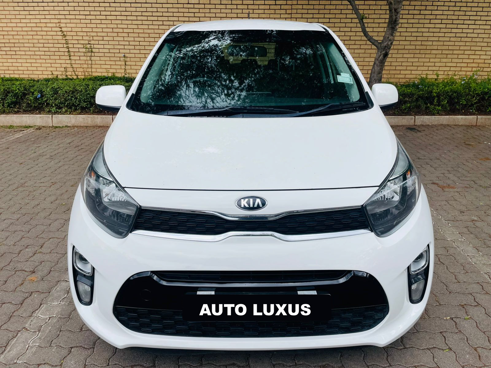 Car dealer in Upington